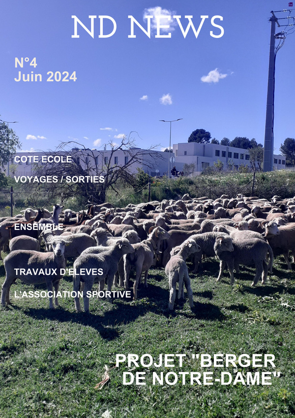 Journal numérique - 4 - A magazine created with Madmagz