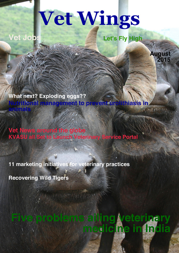 Vet Wings - Volume 1, Issue 2 - A magazine created with Madmagz