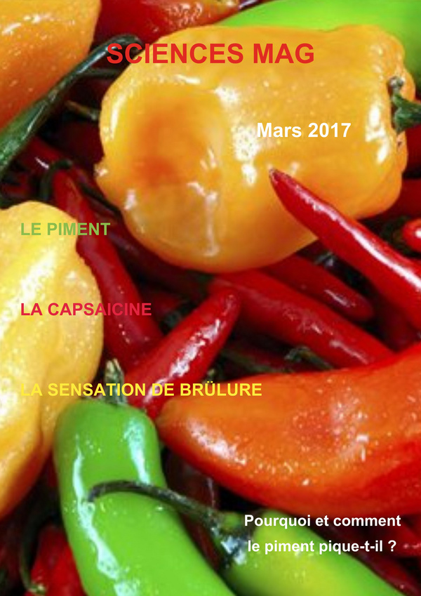 Pourquoi et comment le piment pique ? - TPE piment - A magazine created ...