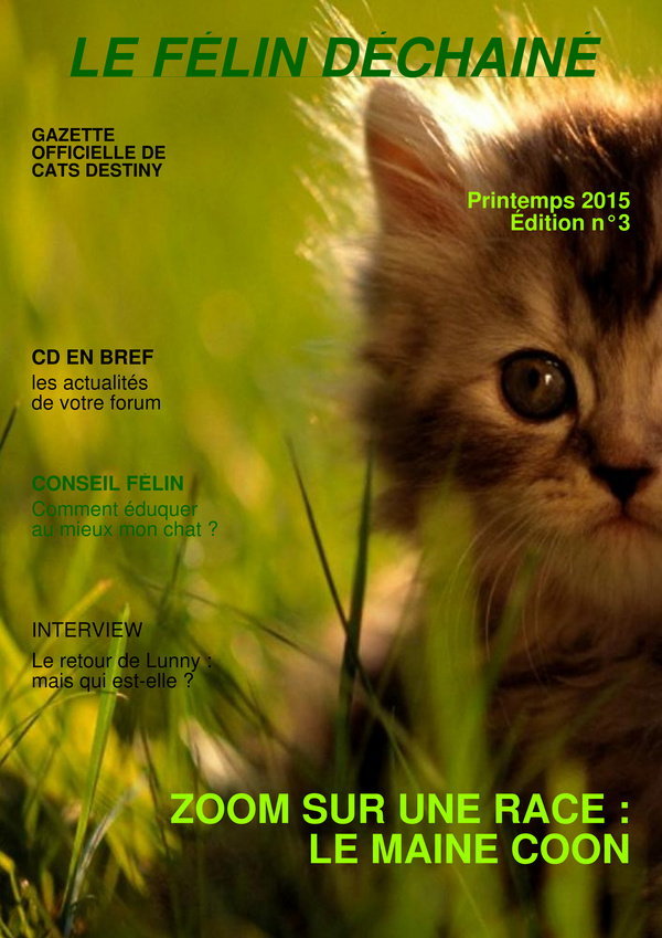 Le Félin Déchaîné - 3 - Magazine créé avec Madmagz